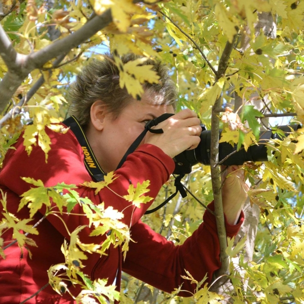 Nicole Frederick - Official Website